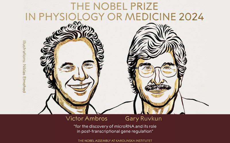 C’E’ BIAVA NEL NOBEL DELLA MEDICINA 2024 | VITA365